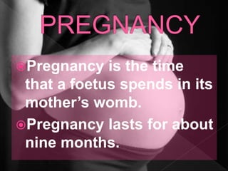 Pregnancy powerpoint final | PPSX