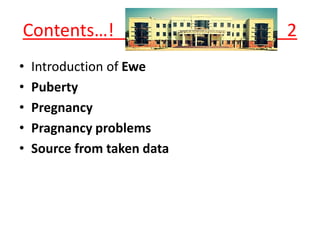 Pregnancy problems of ewe | PPT