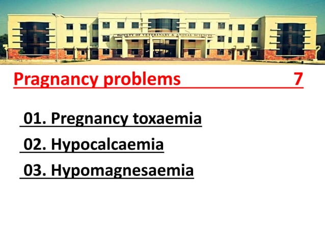 Pregnancy problems of ewe | PPT