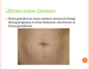 Linea Nigra And Striae Gravidarum