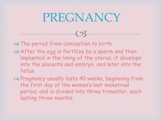 Pregnancy slideshow | PDF