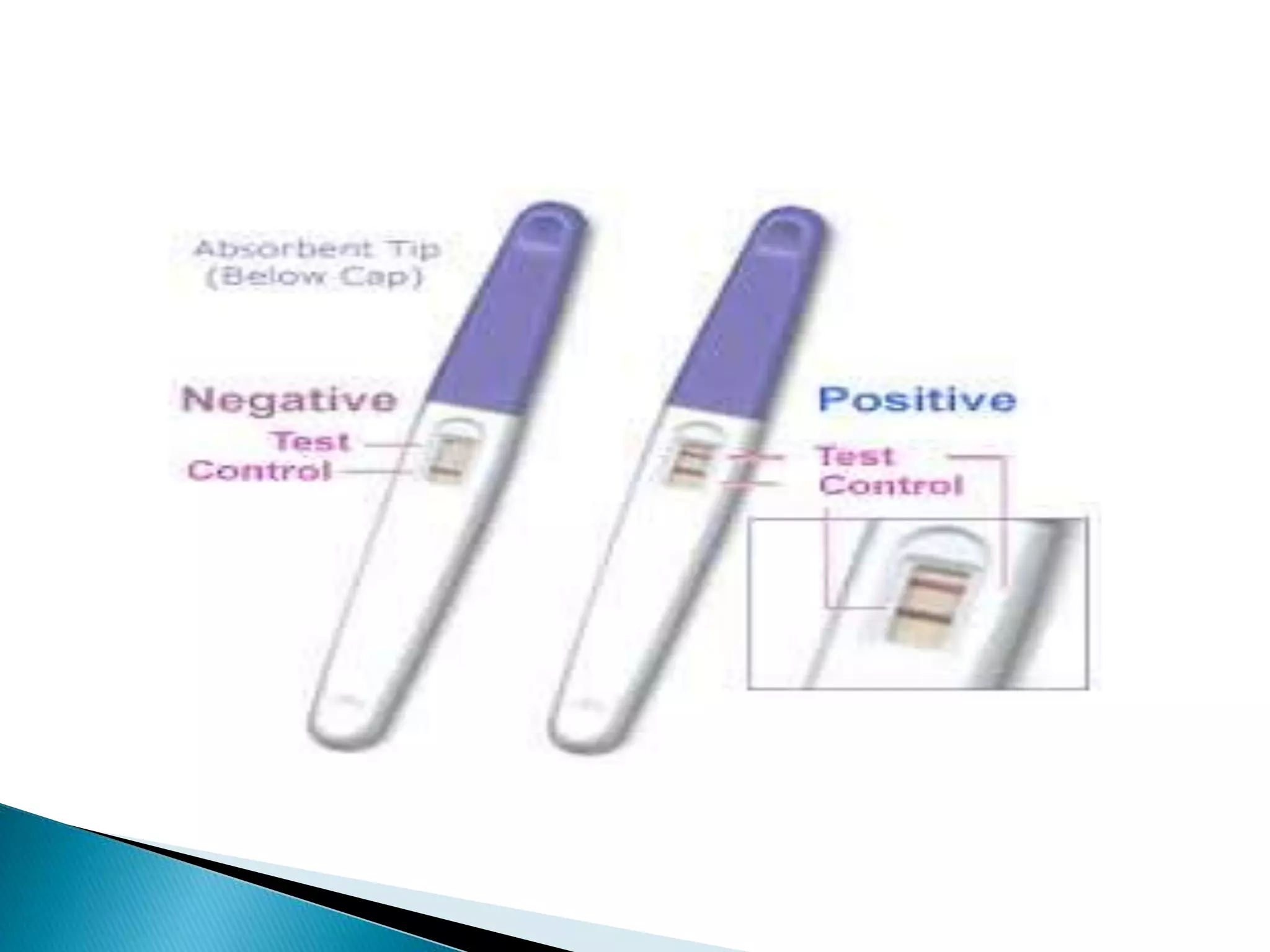 pregnancy test.ppt