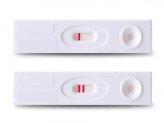 pregnancy test.ppt