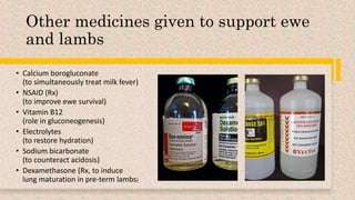 Pregnancy Toxemia in sheep | PPTX