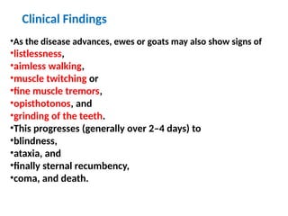 Pregnancy Toxemia in sheep and goat.pptx