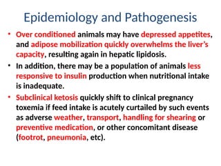 Pregnancy Toxemia in sheep and goat.pptx