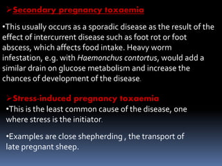 Pregnancy toxemia pptx | PPTX
