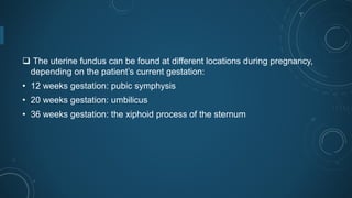 Pregnant abdomen examination.pptx