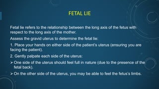 Pregnant abdomen examination.pptx