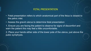 Pregnant abdomen examination.pptx