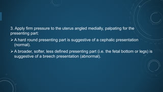 Pregnant abdomen examination.pptx