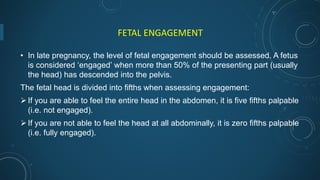 Pregnant abdomen examination.pptx