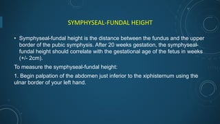 Pregnant abdomen examination.pptx
