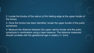 Pregnant abdomen examination.pptx