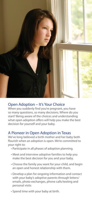 Birth Mother Services For Young Women, Teens, and Other Pregnant Women | PDF