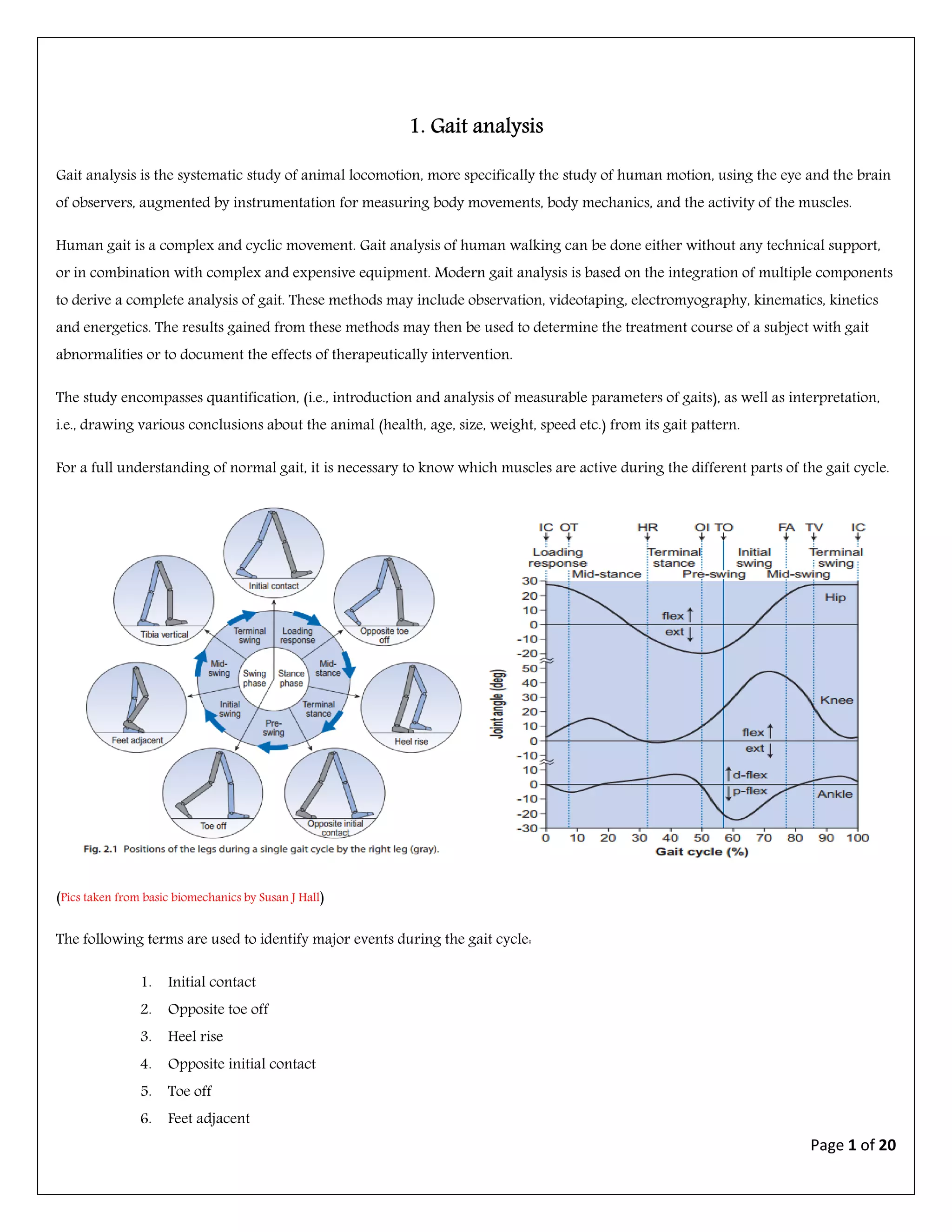 Pregnant lady gait analysis | PDF