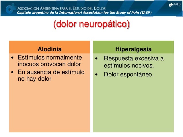 Alodial Significado