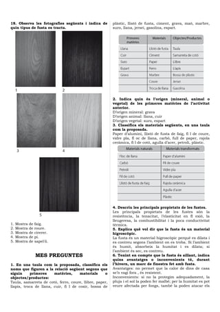 Preguntes tema-6-fusta-1r-eso | PDF