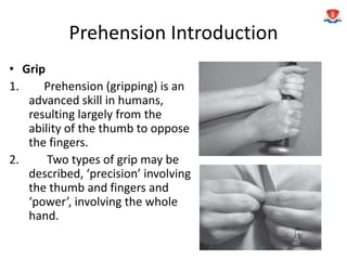 Prehension | PPTX
