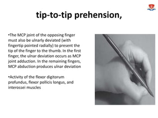 Cylindrical Prehension Grip