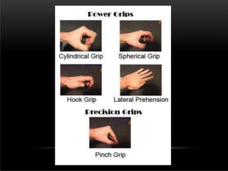Cylindrical Prehension Grip