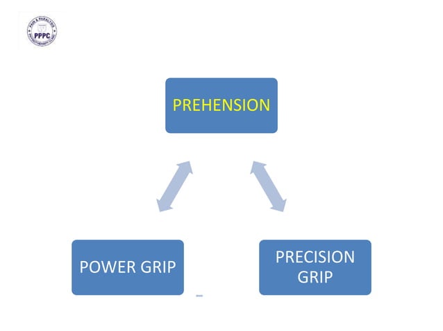 Prehension | PPTX