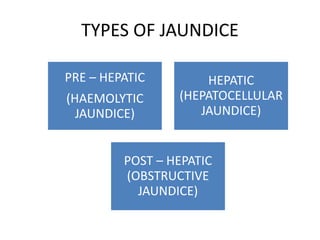 Pre hepatic jaundice | PPTX