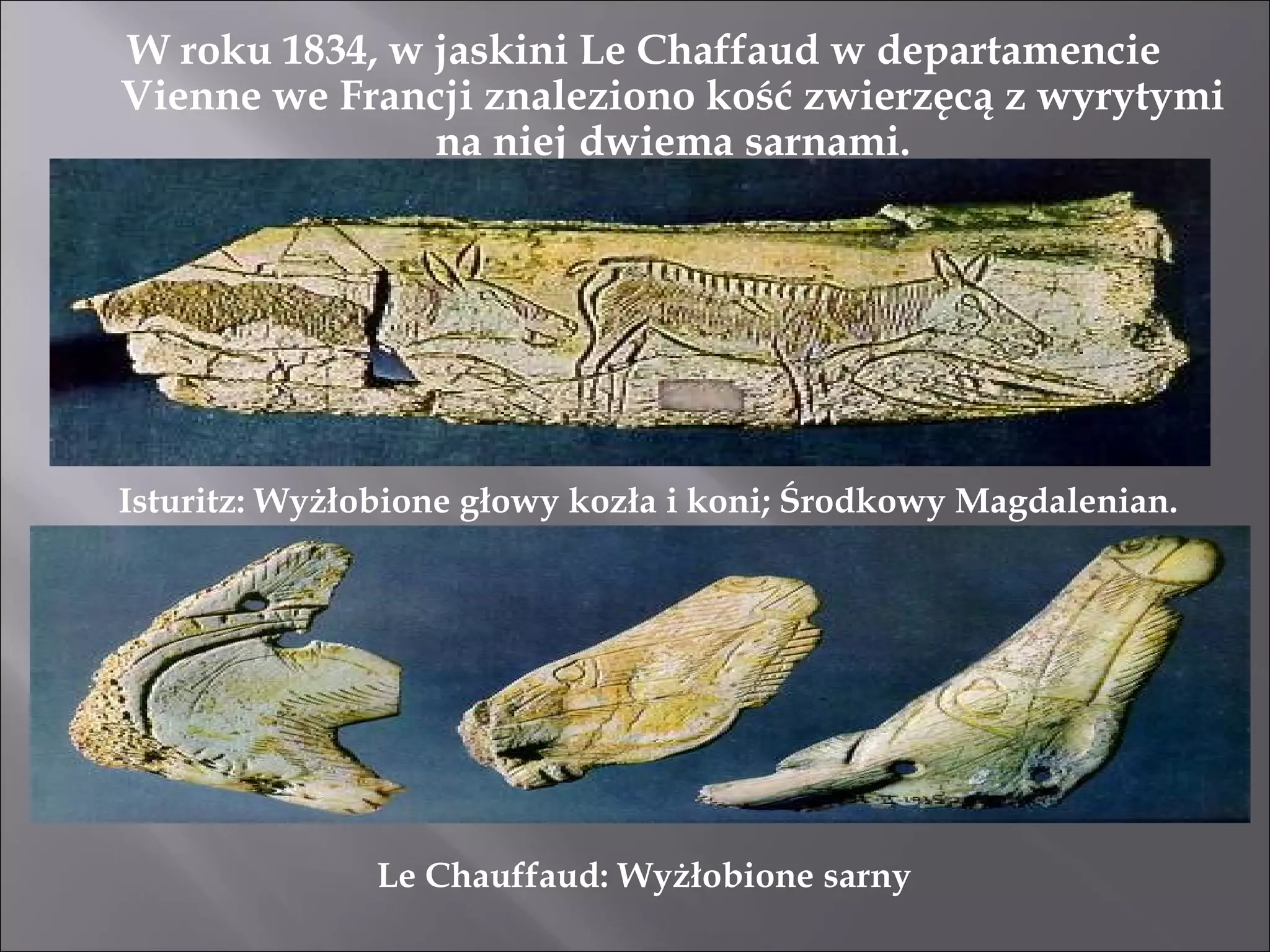 Prehistoria jaskinie dawid_li_va | PPT