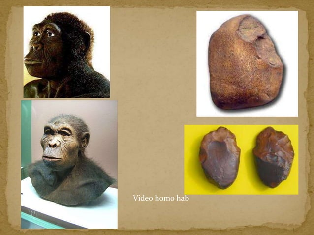 Prehistoria paleolitico copia | PPTX | Geology | Science