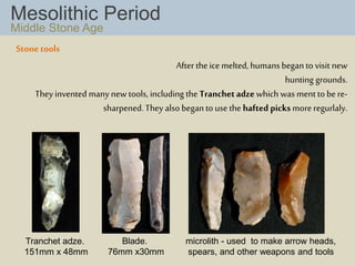 Mesolithic Weapons