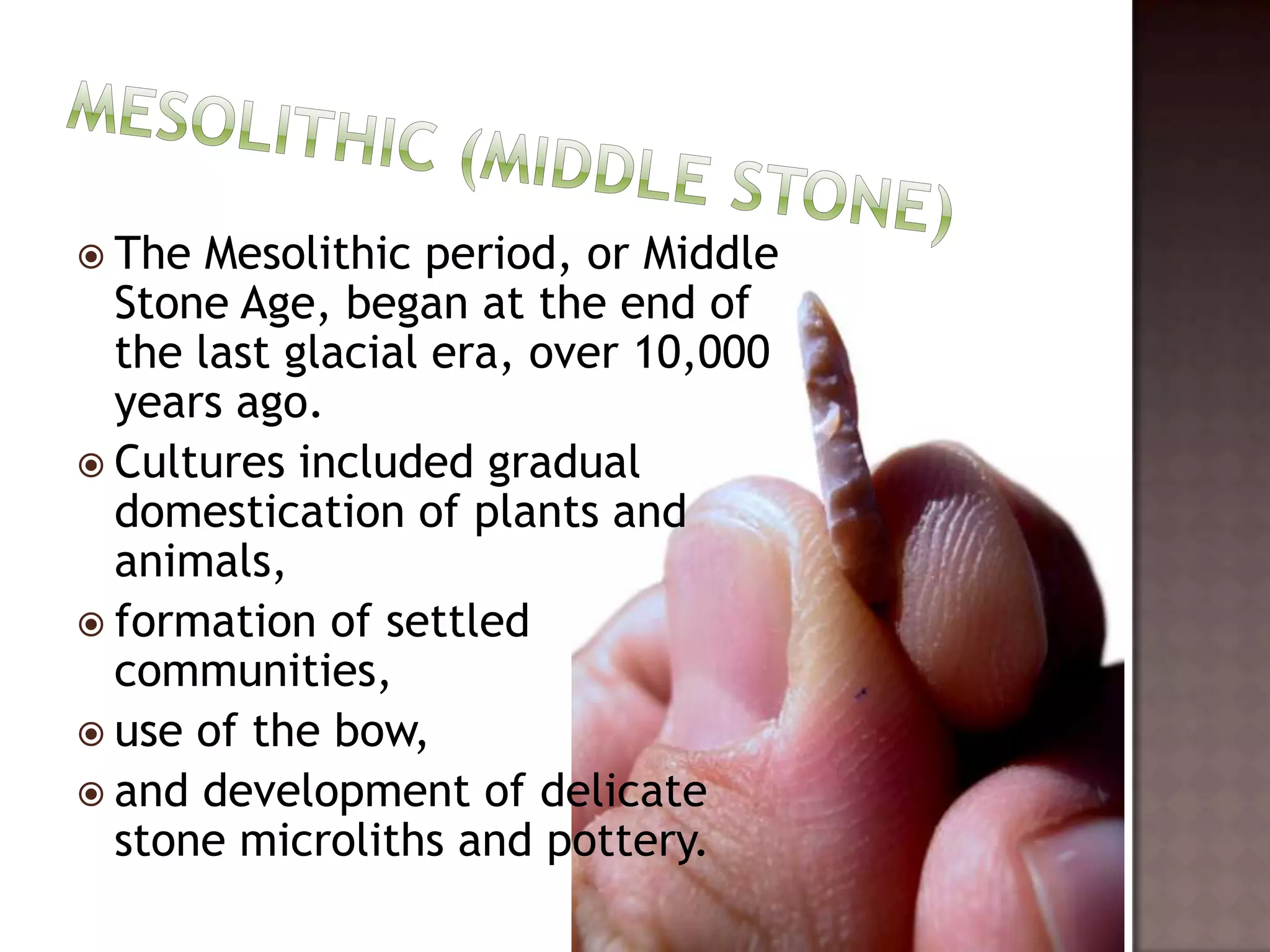 Prehistoric Arts | PPTX