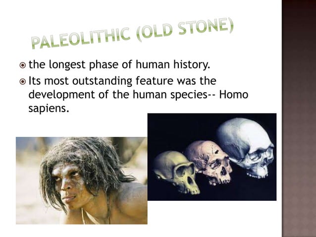 Prehistoric Arts | PPTX | Geology | Science