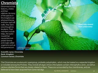 Prehistoric creatures by VK9 | PPTX