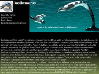 Prehistoric creatures by VK9 | PPTX