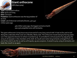 Giant Orthocone Vs Dunkleosteus