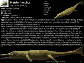 Ice Age Metriorhynchus