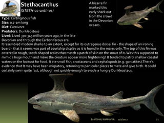Walking With Monsters Stethacanthus