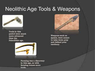 Prehistoric life | PPT