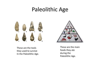 Prehistoric life by trey | PPT