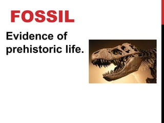 Prehistoric vocab | PPTX