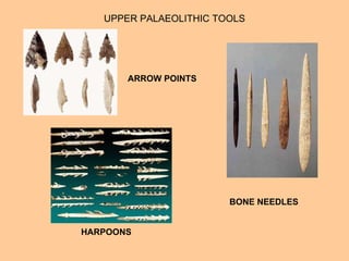 Prehistory | PPS
