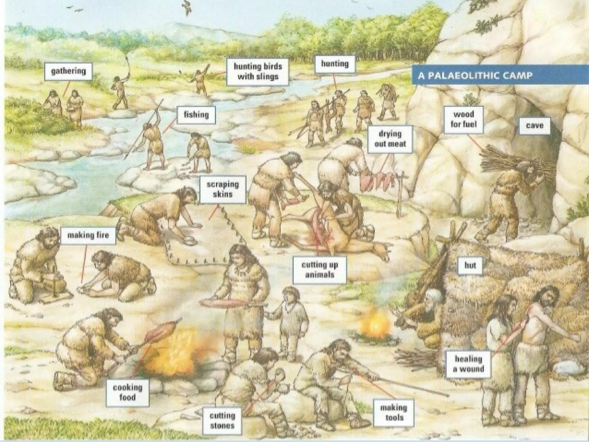 Prehistory | PPT