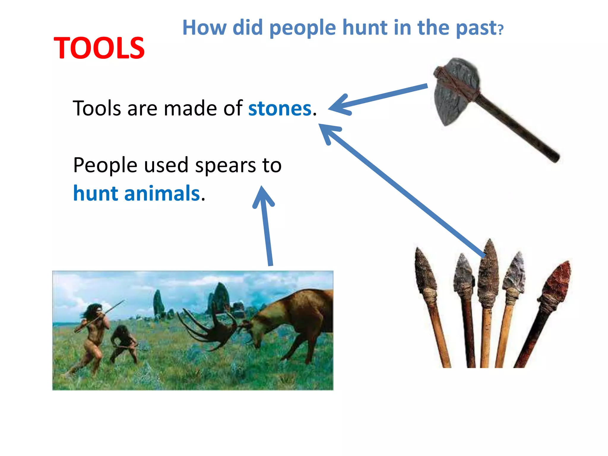 Prehistory | PPT