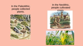 Prehistory.pdf