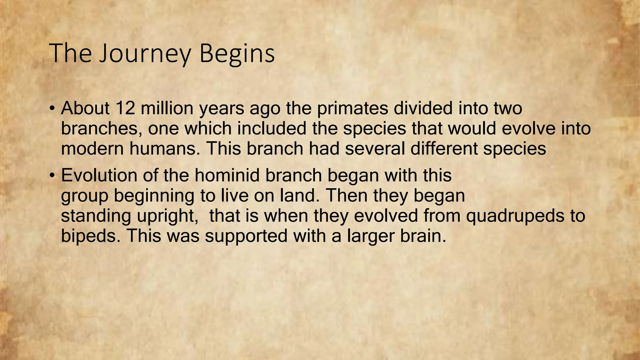 Prehistory. history. students. grade 6 . | PPTX