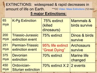 Prehistory 1 new | PPTX