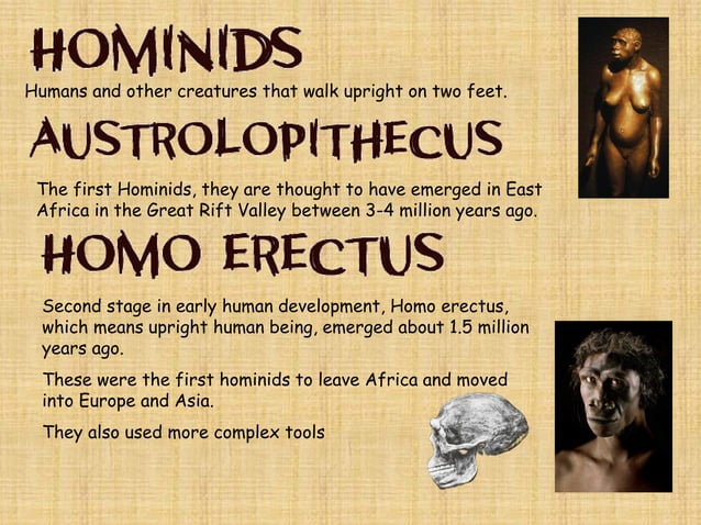 Prehistory and early humans | PDF