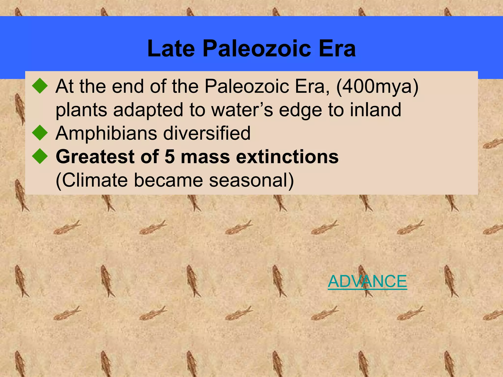 Prehistory 1: Geologic Timeline- Notes on the geologic & life history ...