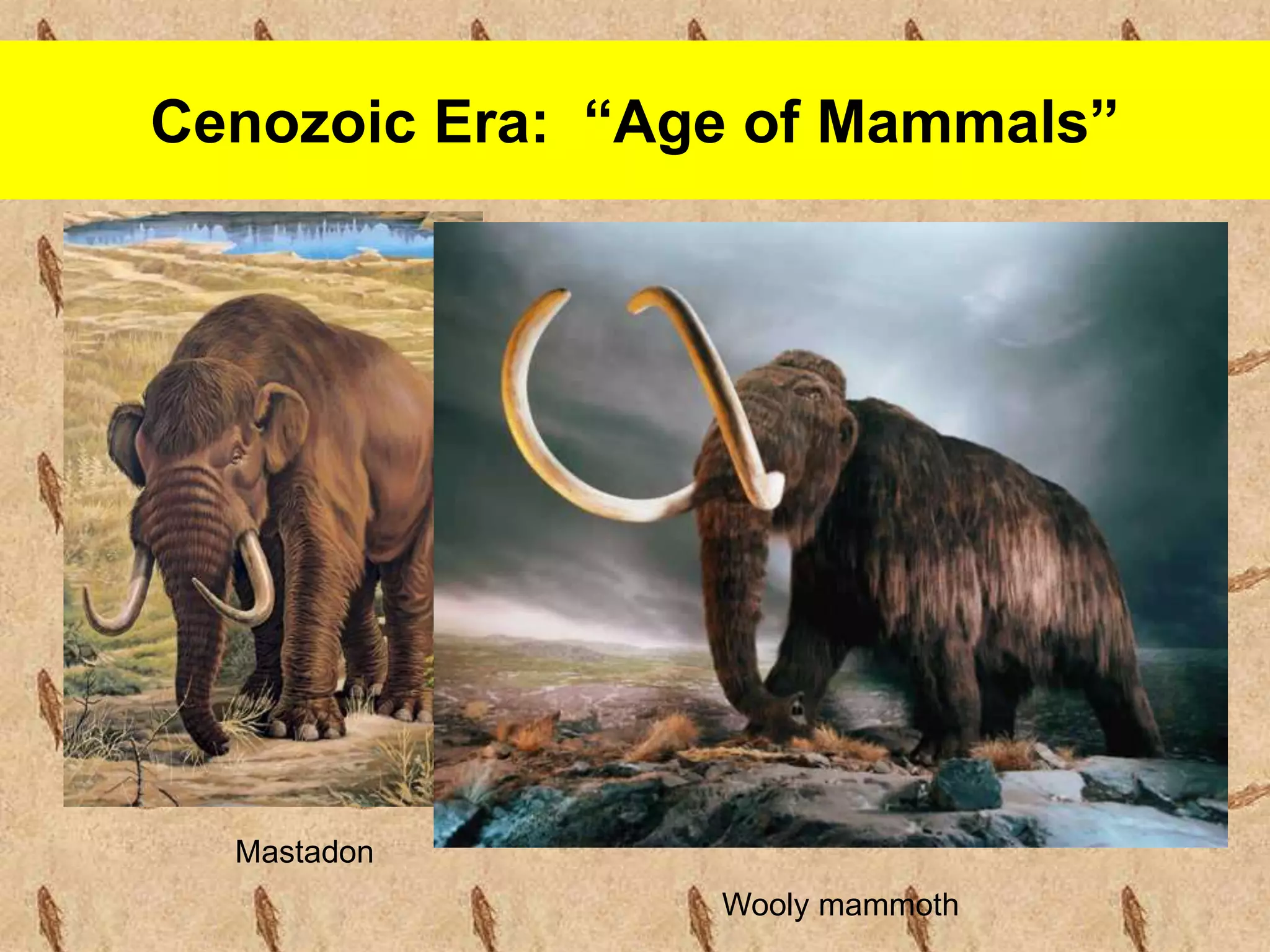 Prehistory 1: Geologic Timeline- Notes on the geologic & life history ...