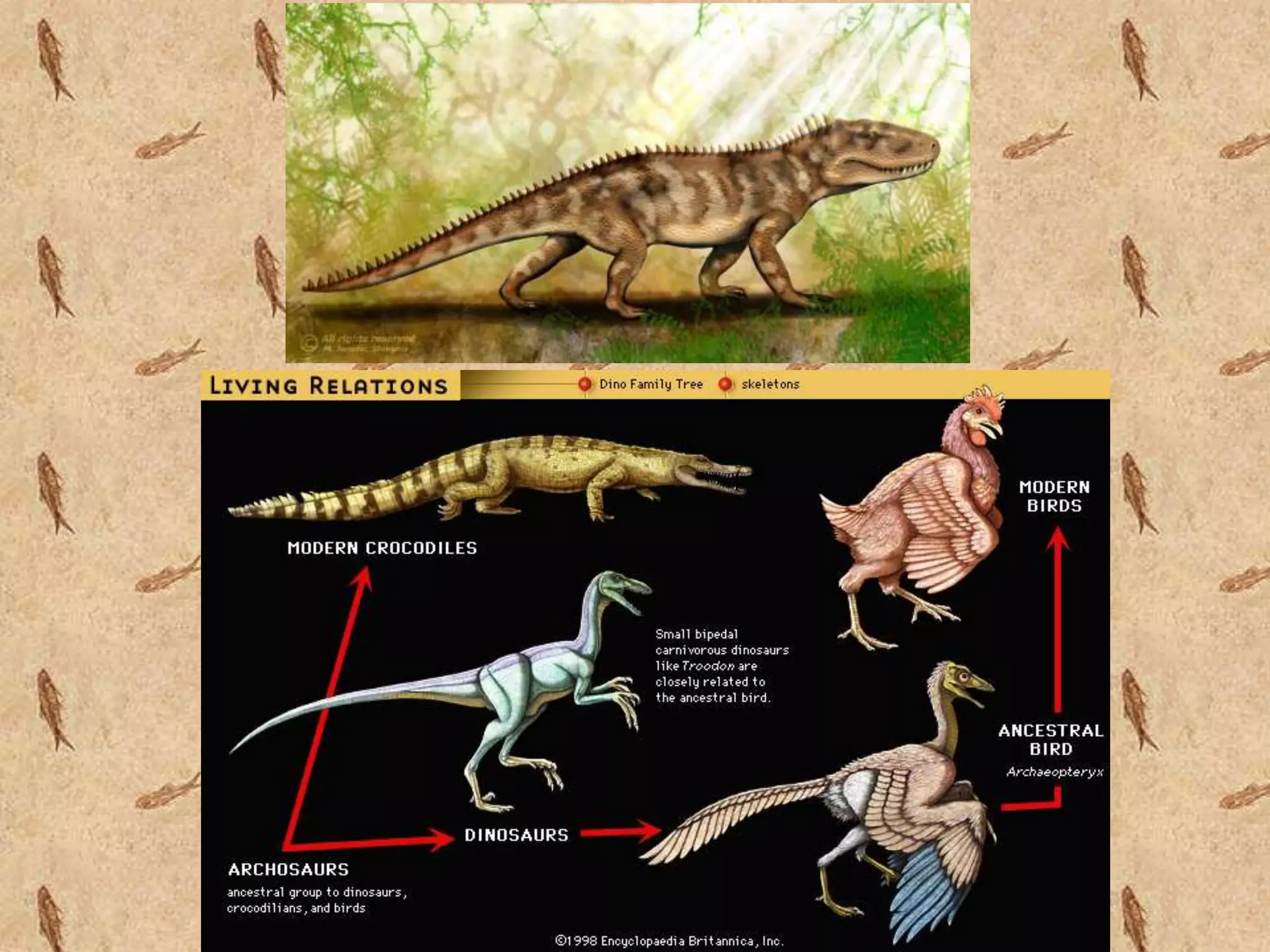 Prehistory 1: Geologic Timeline- Notes on the geologic & life history ...